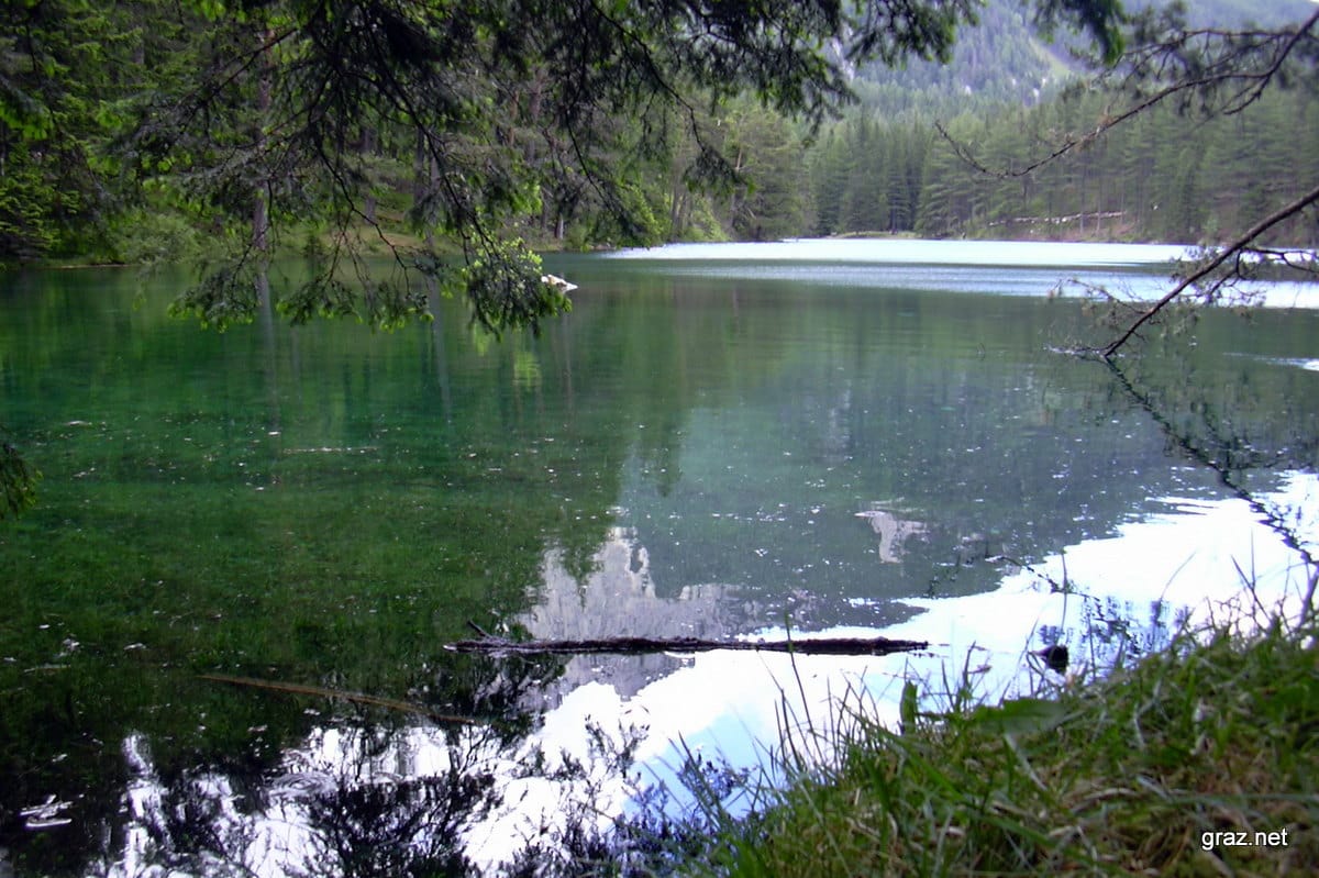 Grüner See - Ausflugsziel und Naturjuwel - Infos und Tipps - Fotos