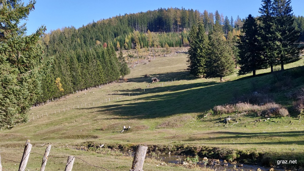 Teichalm und Teichalmee - Ausflugsziel - Infos und Tipps